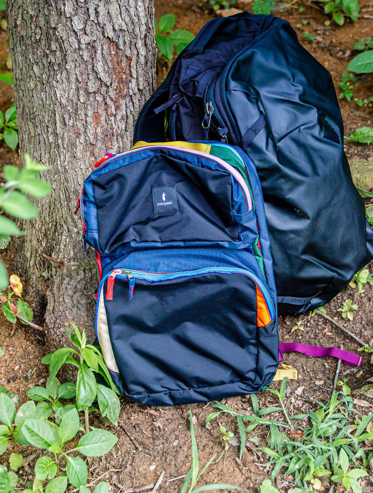 The Best Backpacks And Lunchboxes You'll Love This School Year