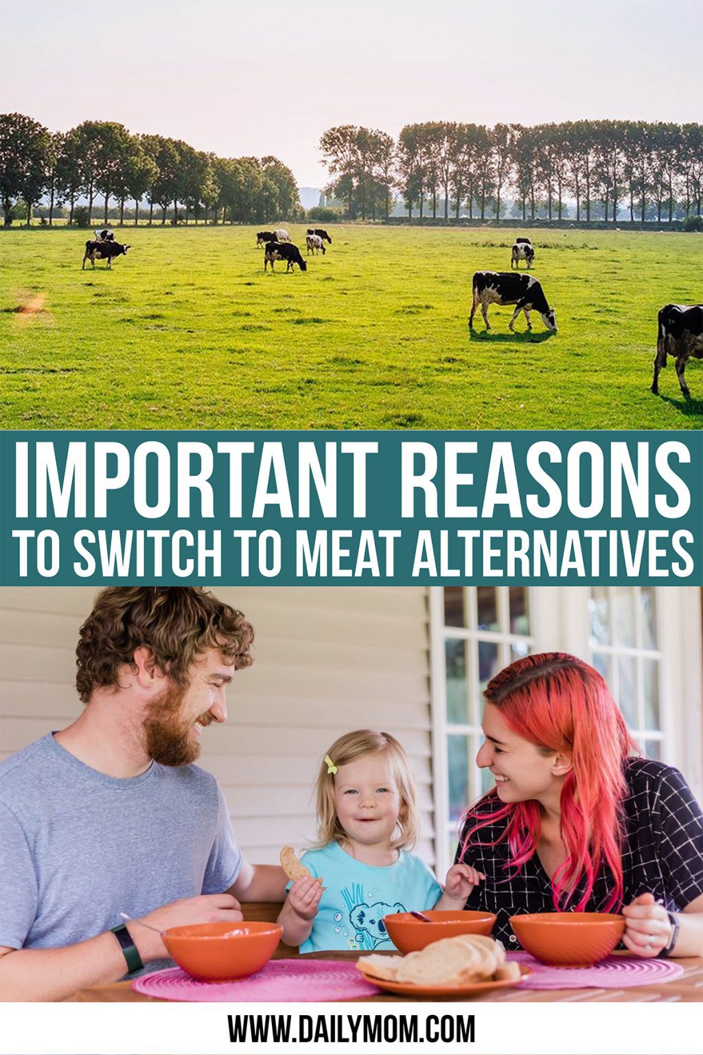 Important Reasons To Switch To Meat Alternatives » Read Now!