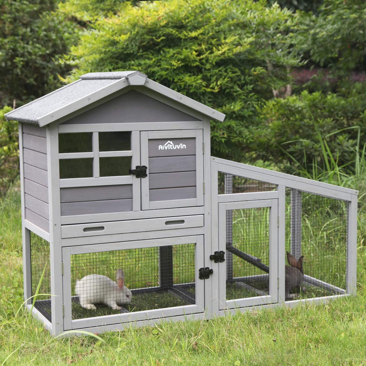 Pamper Your New Pet Rabbit With These 25 Must-Haves » Read Now!