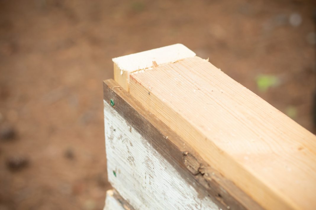 DIY Photo Shoot Props For Kids » Read More