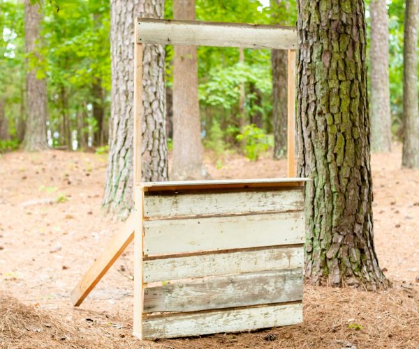 DIY Photo Shoot Props For Kids » Read More