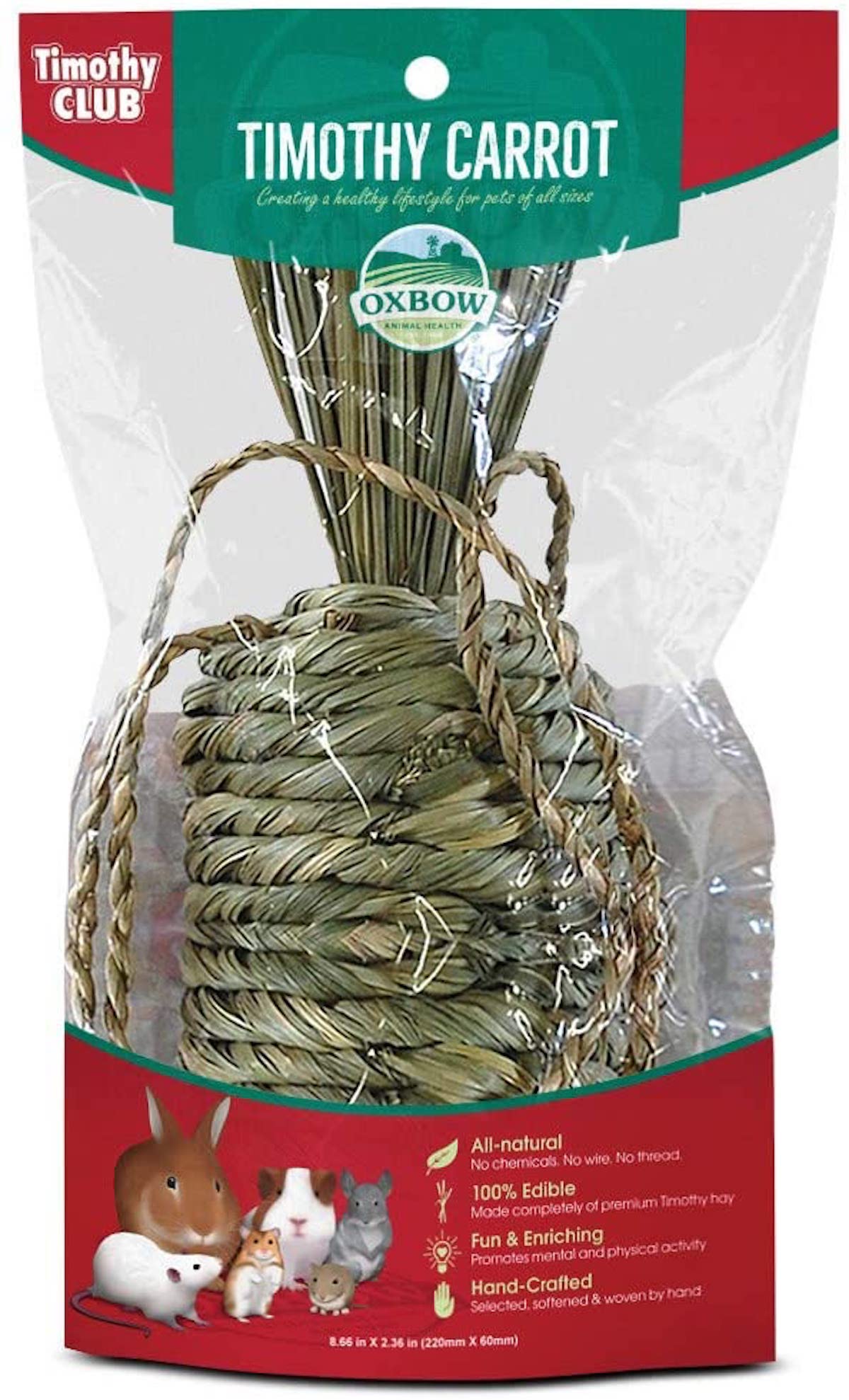 Pamper Your New Pet Rabbit With These 25 Must-Haves » Read Now!