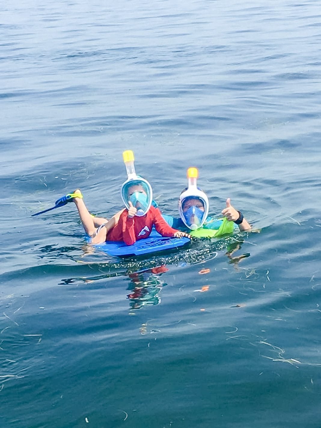 Dive Into Scalloping For An Epic Underwater Adventure » Read Now!