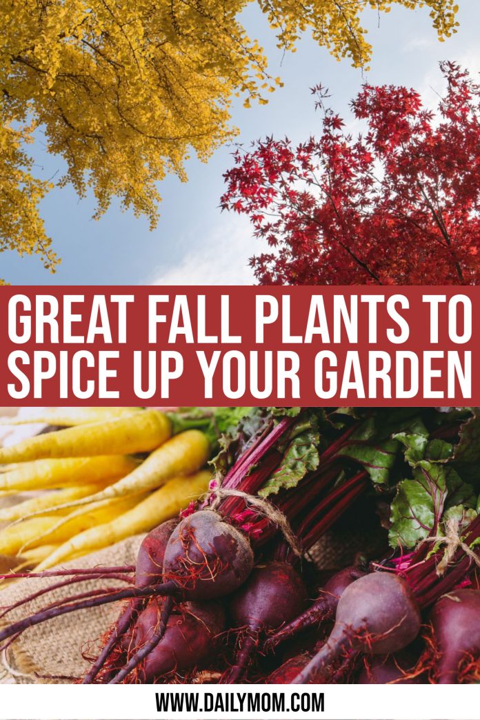10 Great Fall Plants To Spice Up Your Garden » Read Now!