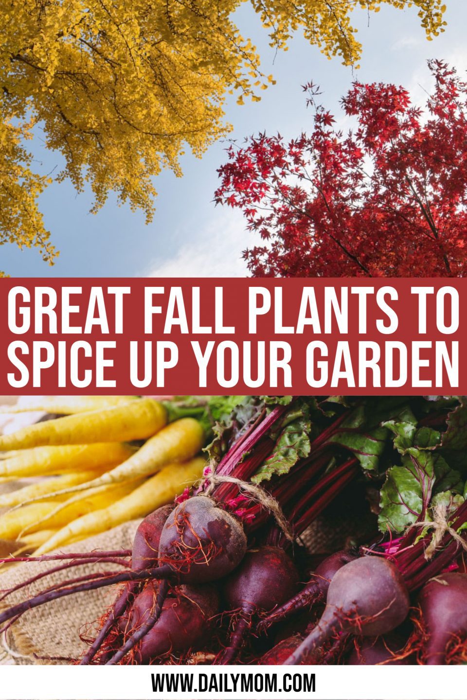 10 Great Fall Plants To Spice Up Your Garden » Read Now!