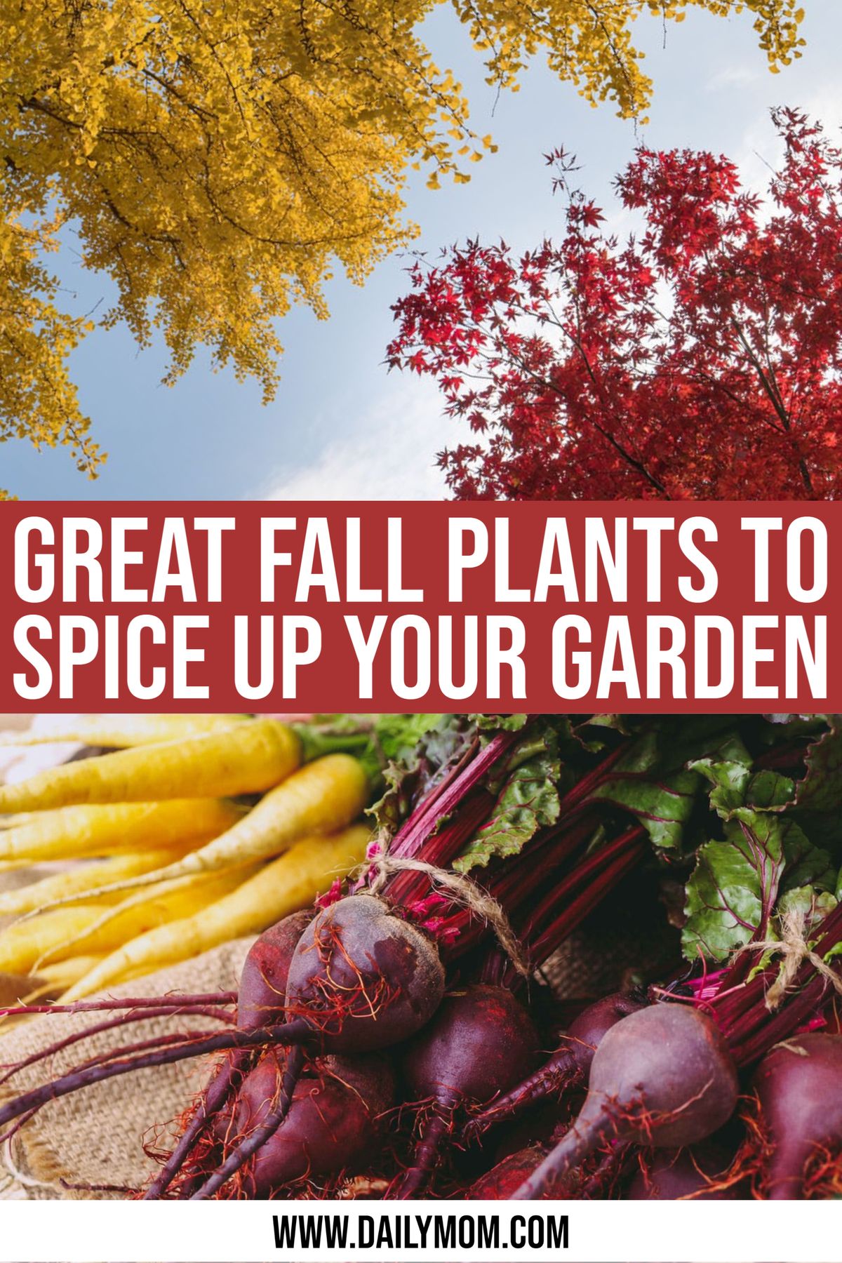 10 Great Fall Plants To Spice Up Your Garden » Read Now!