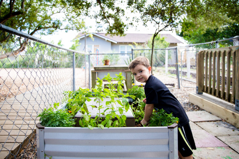 Composting With Worms: Subpod Is The Best Worm Garden