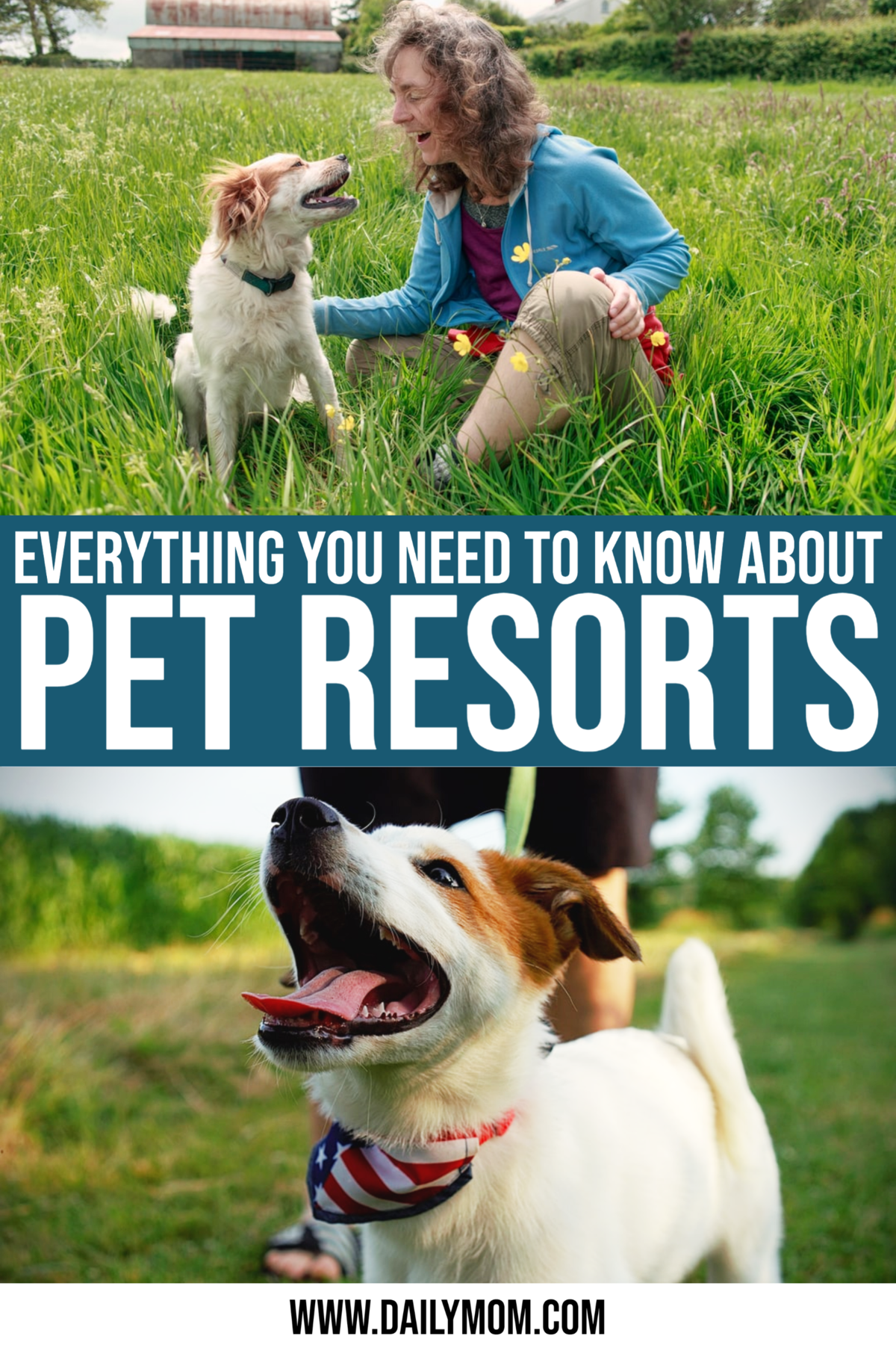 Pet Resorts: 13 Awesome Facts About Pet Resorts
