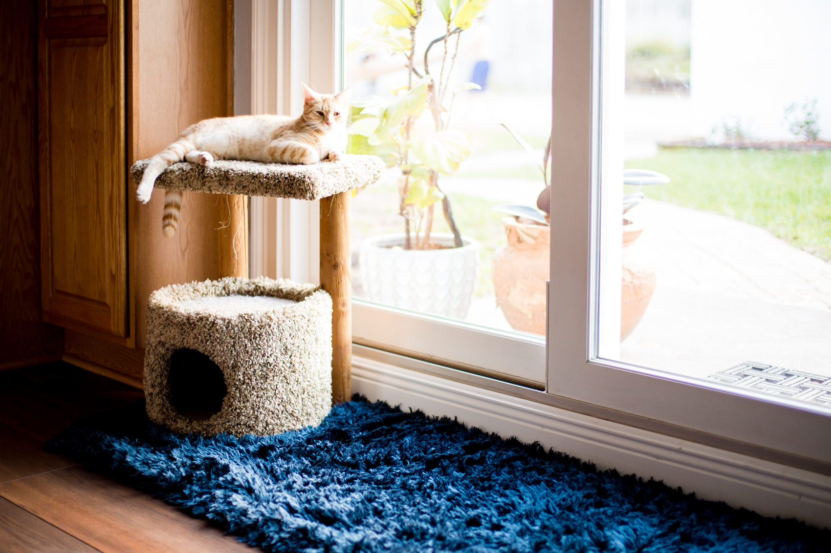 26 Spectacular Spring Home Decor Ideas To Spruce Up Your Space » Read Now!