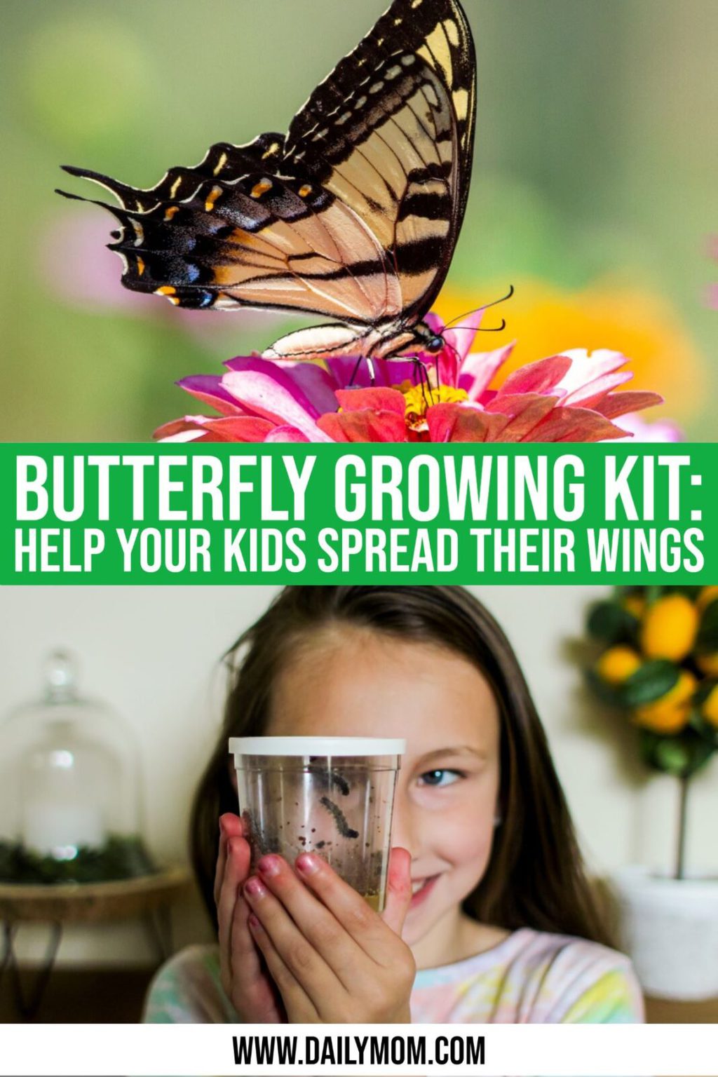 5 Ways A Butterfly Growing Kit Can Teach Kids To Spread Their Wings
