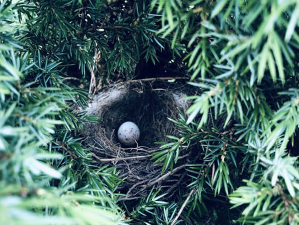 Read Now! Becoming An Empty Nester One Year At A Time