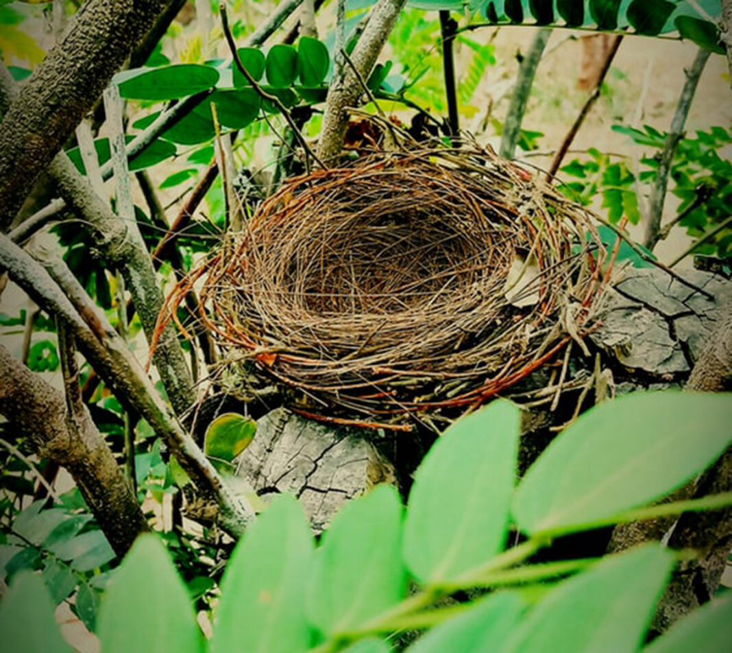 Read Now! Becoming An Empty Nester One Year At A Time