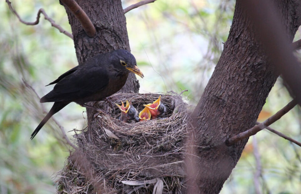 Read Now! Becoming An Empty Nester One Year At A Time