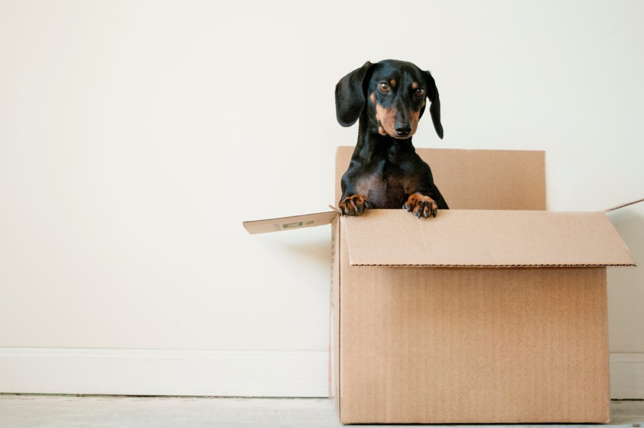 20 Ways To Use A Customized Cardboard Box » Read More