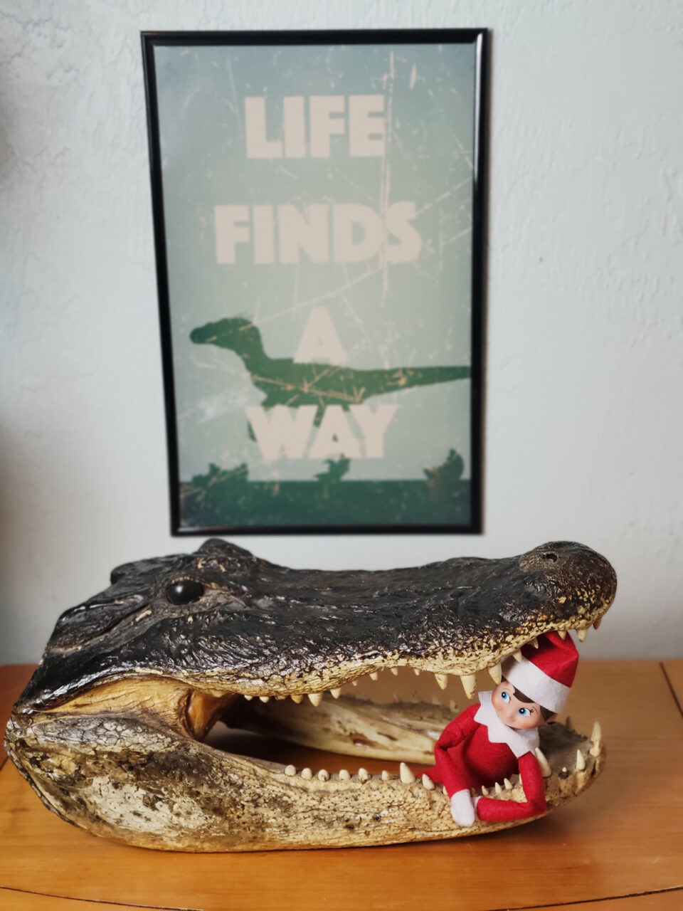 Easy, Yet Magical Ideas For Elf On The Shelf This Year » Read Now!