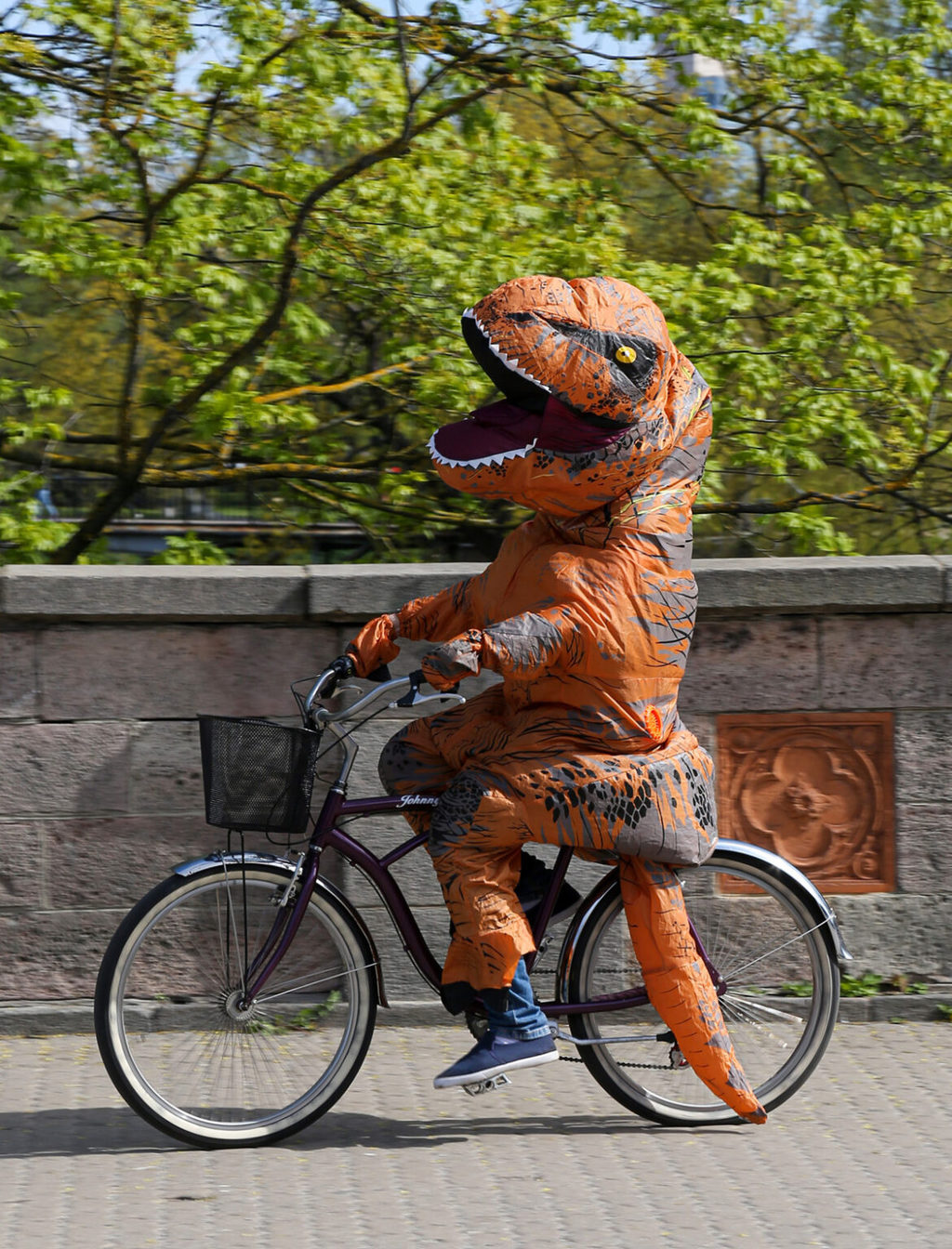 Celebrate National Dinosaur Day On May 1! Read Now!