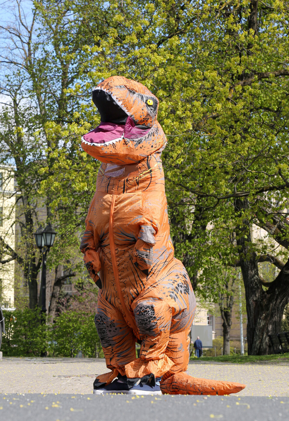 Celebrate National Dinosaur Day On May 1! Read Now!