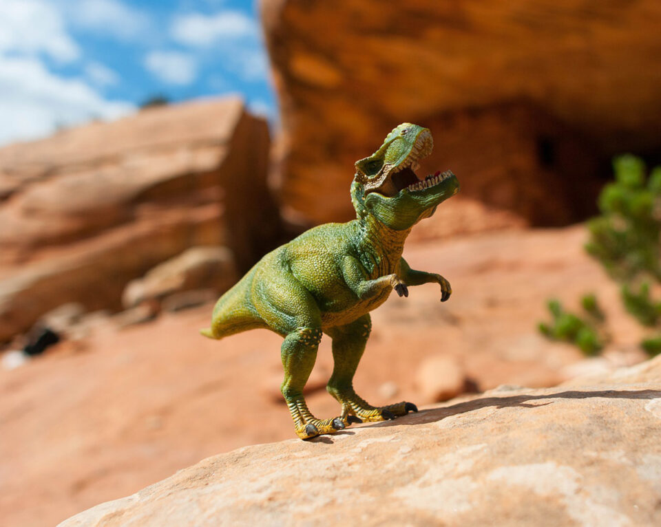 Celebrate National Dinosaur Day On May 1! Read Now!
