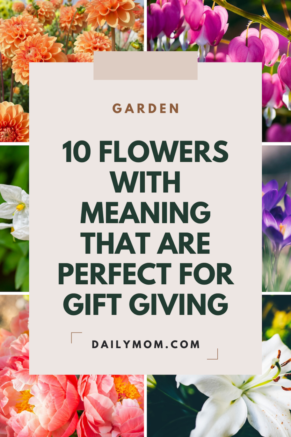 10 Flowers With Meaning That Are Perfect For Gift Giving » Read Now!