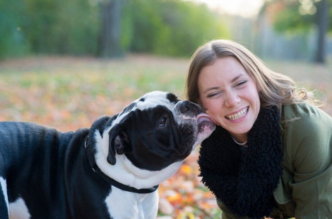 Important Pet Boarding Tips To Alleviate Stress For Dog Moms When ...