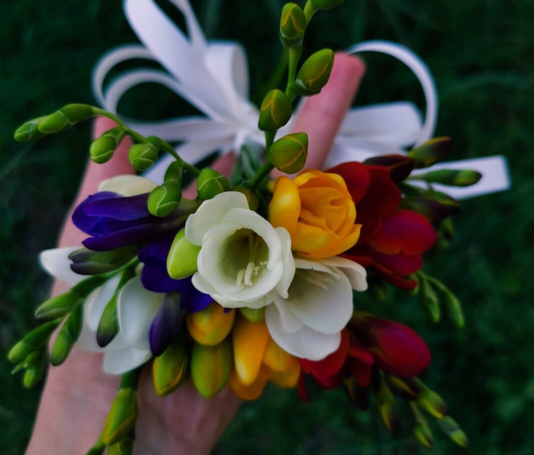 10 Flowers With Meaning That Are Perfect For Gift Giving » Read Now!