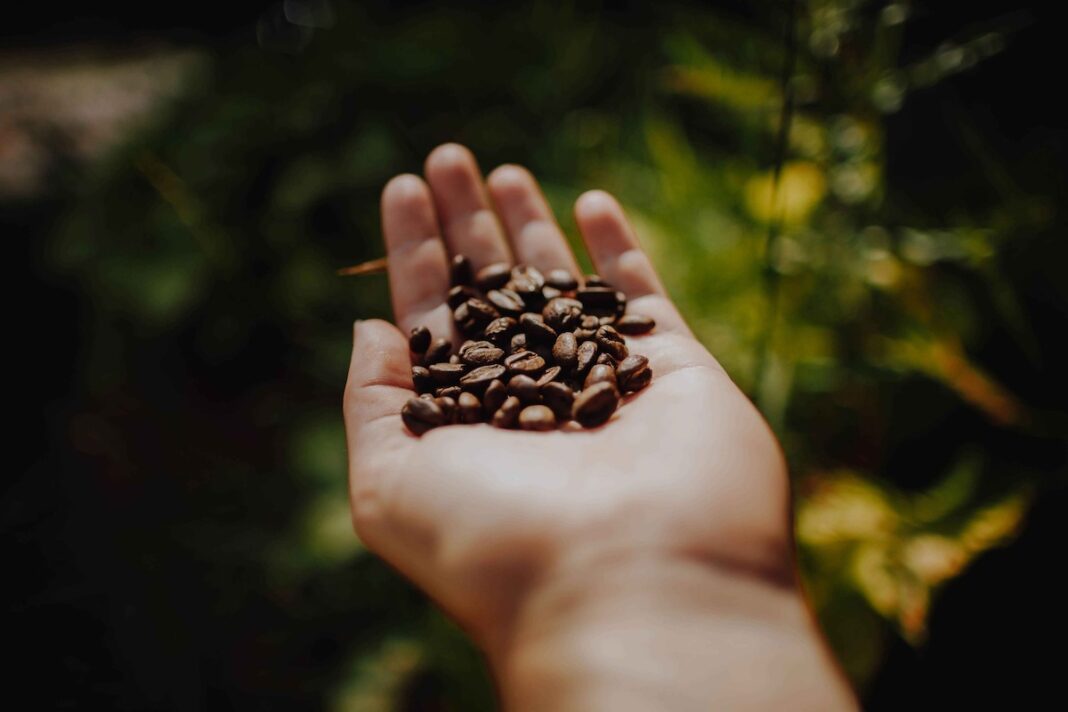 26 Refreshing Drinks And Snacks To Stock Up On Before The Holidays Hit ...