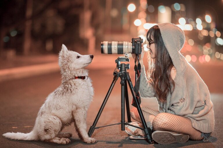 6 Secrets Of Mastering Eye-Catching Photos » Read Now!