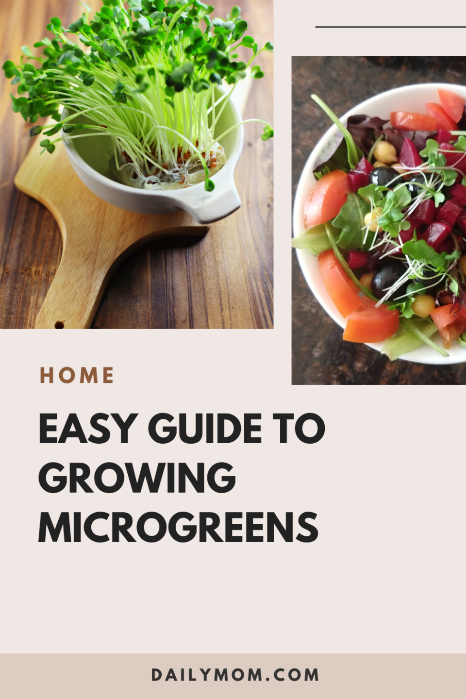10+ Best Tips To Growing Microgreens »Read More