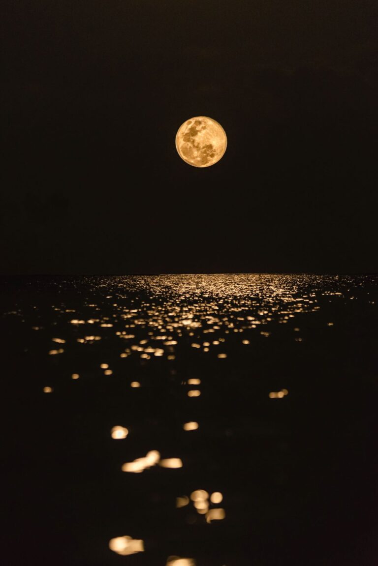 The Moon Made Me Do It: Moon Energies And 7 Wild Facts That Will Change ...