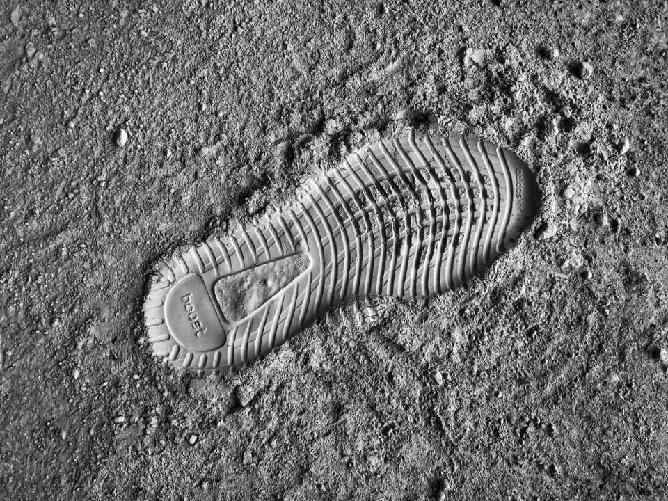 CSI: Family Edition – 6 Fun Forensics Investigator Science Projects To ...