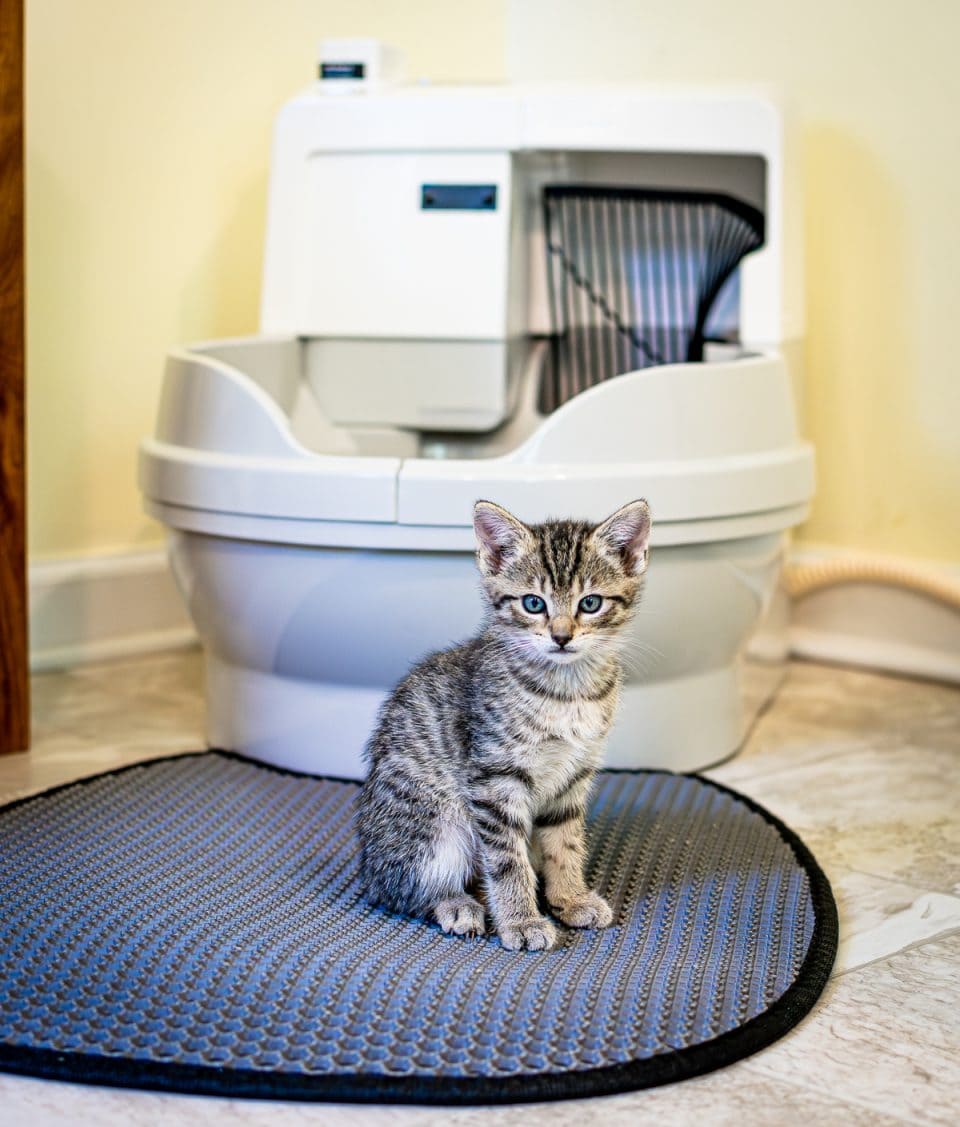 Self Cleaning Litter Box - The Revolutionary CatGenie A.I. {2023}
