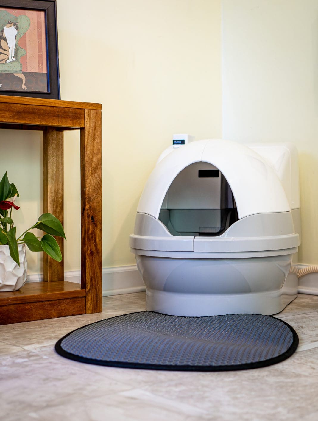 Self Cleaning Litter Box - The Revolutionary CatGenie A.I. {2023}