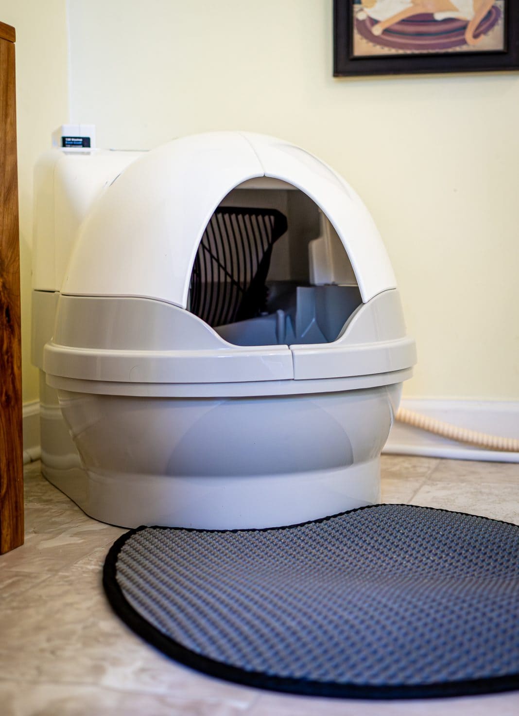 Self Cleaning Litter Box - The Revolutionary CatGenie A.I. {2023}