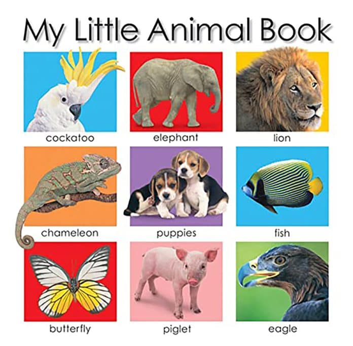 18 Toddler Books Your Preschooler Will Love To Read With You
