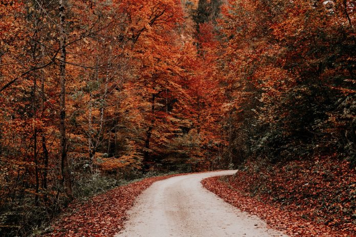 8 Fun Fall Activities That Won't Break The Bank!