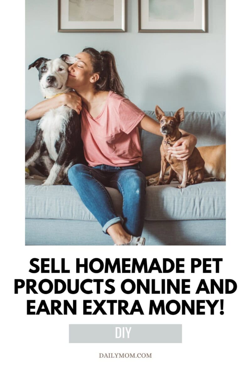 10 Homemade Pet Supplies + DIY Dog Crafts: Pet Products To Sell Online