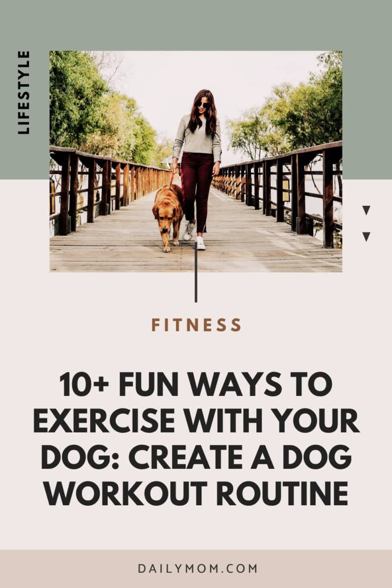 10+ Fun Ways To Exercise With Your Dog: Create A Dog Workout Routine