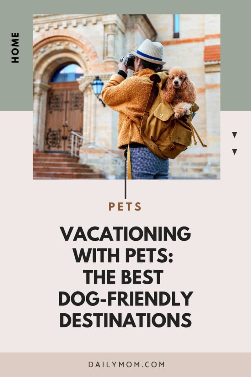Vacationing With Pets: The Best Dog-Friendly Vacation Destinations