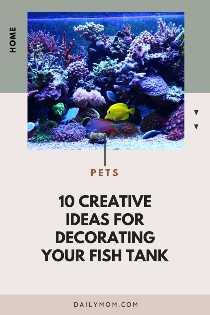 10 Creative Ideas For Decorating Fish Tank: Transform Your Aquarium ...
