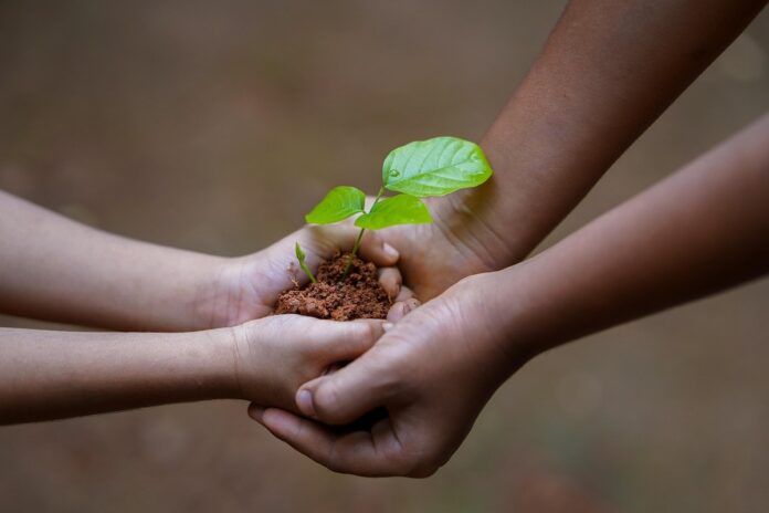 50+ Ideas For Fun Earth Day Activities For Kids Of All Ages