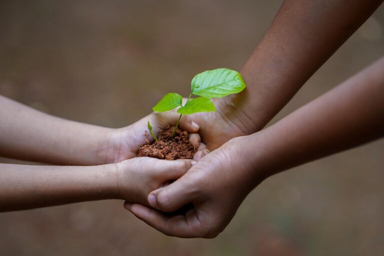 50+ Ideas For Fun Earth Day Activities For Kids Of All Ages
