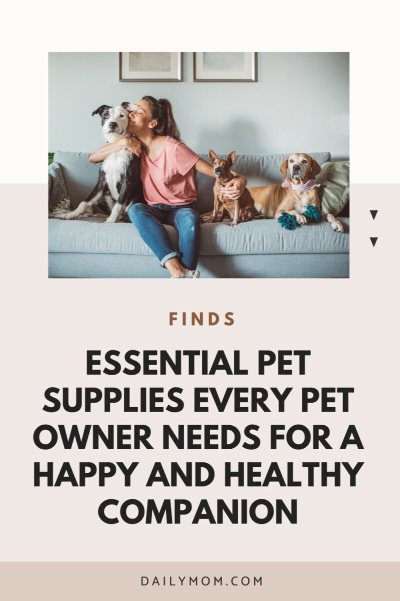 Best Pet Product Trend: New & Popular Pet Supplies For Pet Owners