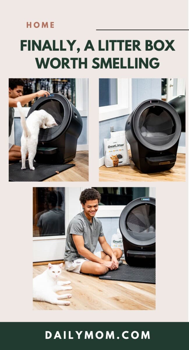 Best Auto Cat Litter Box? Auto Self-Cleaning Litter Box 2026